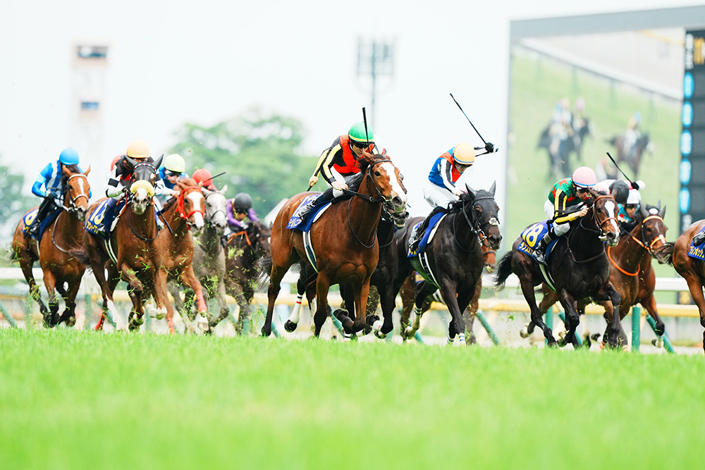 春の牝馬2冠振り返り | 鈴木正のKEIBA愛 | UMATO