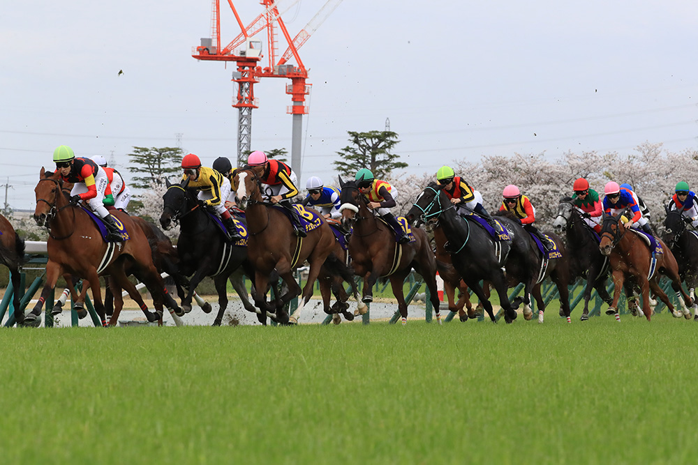 春の牝馬2冠振り返り | 鈴木正のKEIBA愛 | UMATO