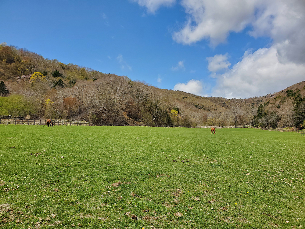 穏やかな午後 | うま茶房 | UMATO