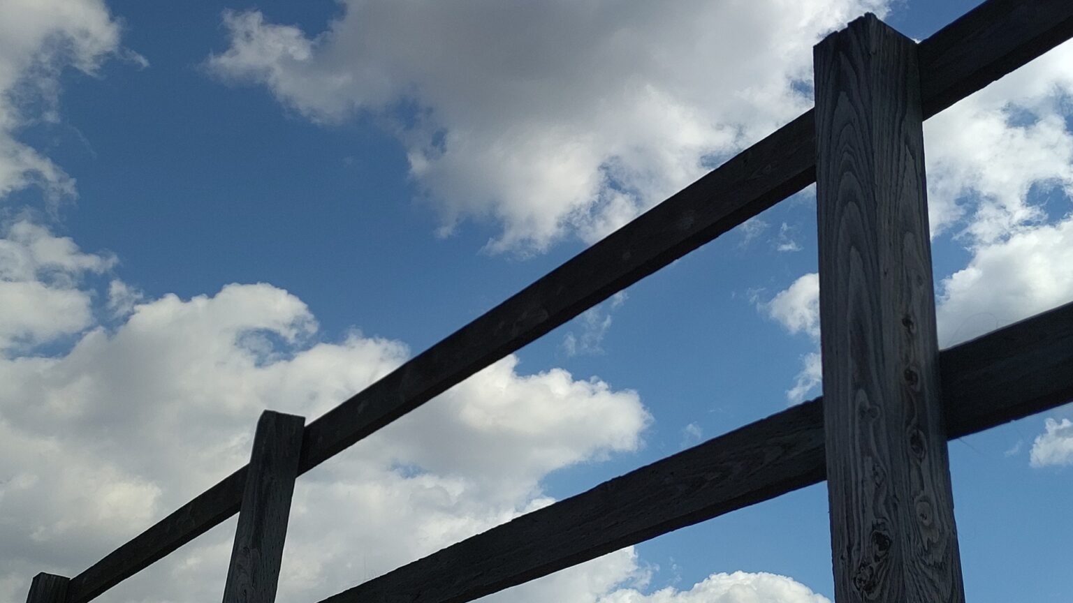 彩 | うま茶房 | UMATO