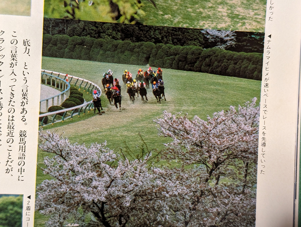 三つの夢が叶った＜3回シリーズ 第2回＞ | 岡田修平のアノ瞬間 | UMATO