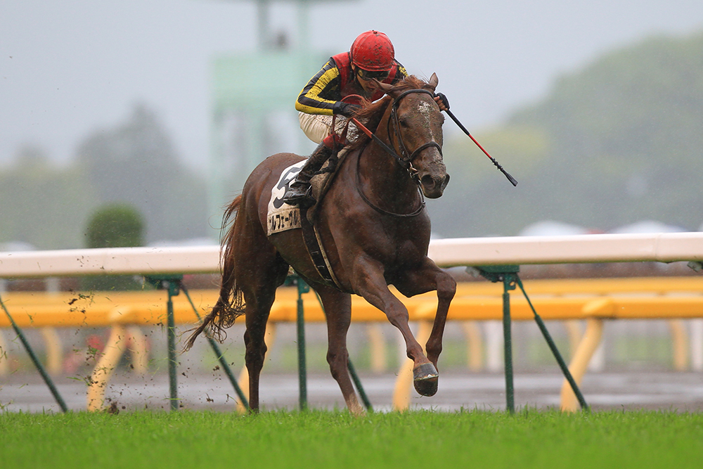 土砂降りのダービー馬 | 岡田修平のアノ瞬間 | UMATO