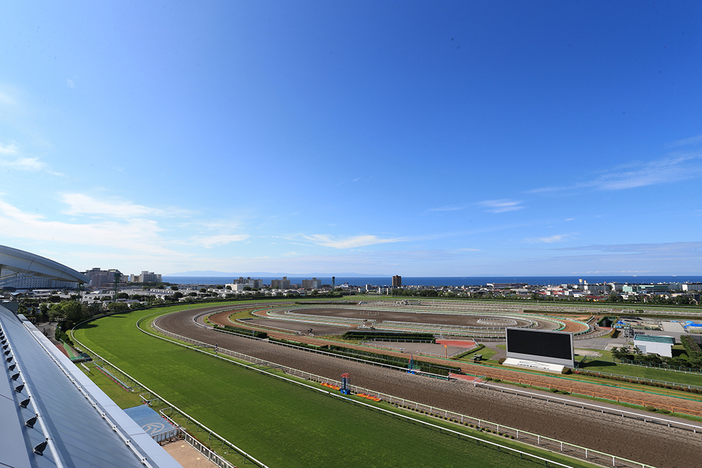 函館競馬場 | 岡田修平のアノ瞬間 | UMATO