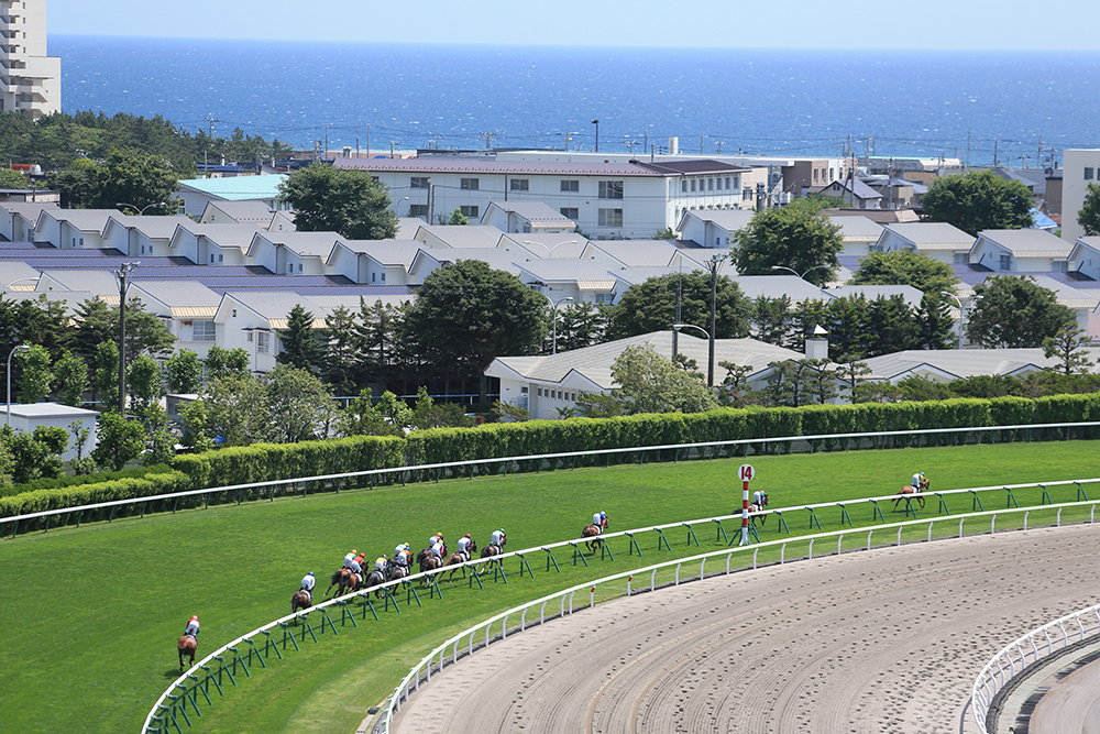 函館競馬場 | 岡田修平のアノ瞬間 | UMATO