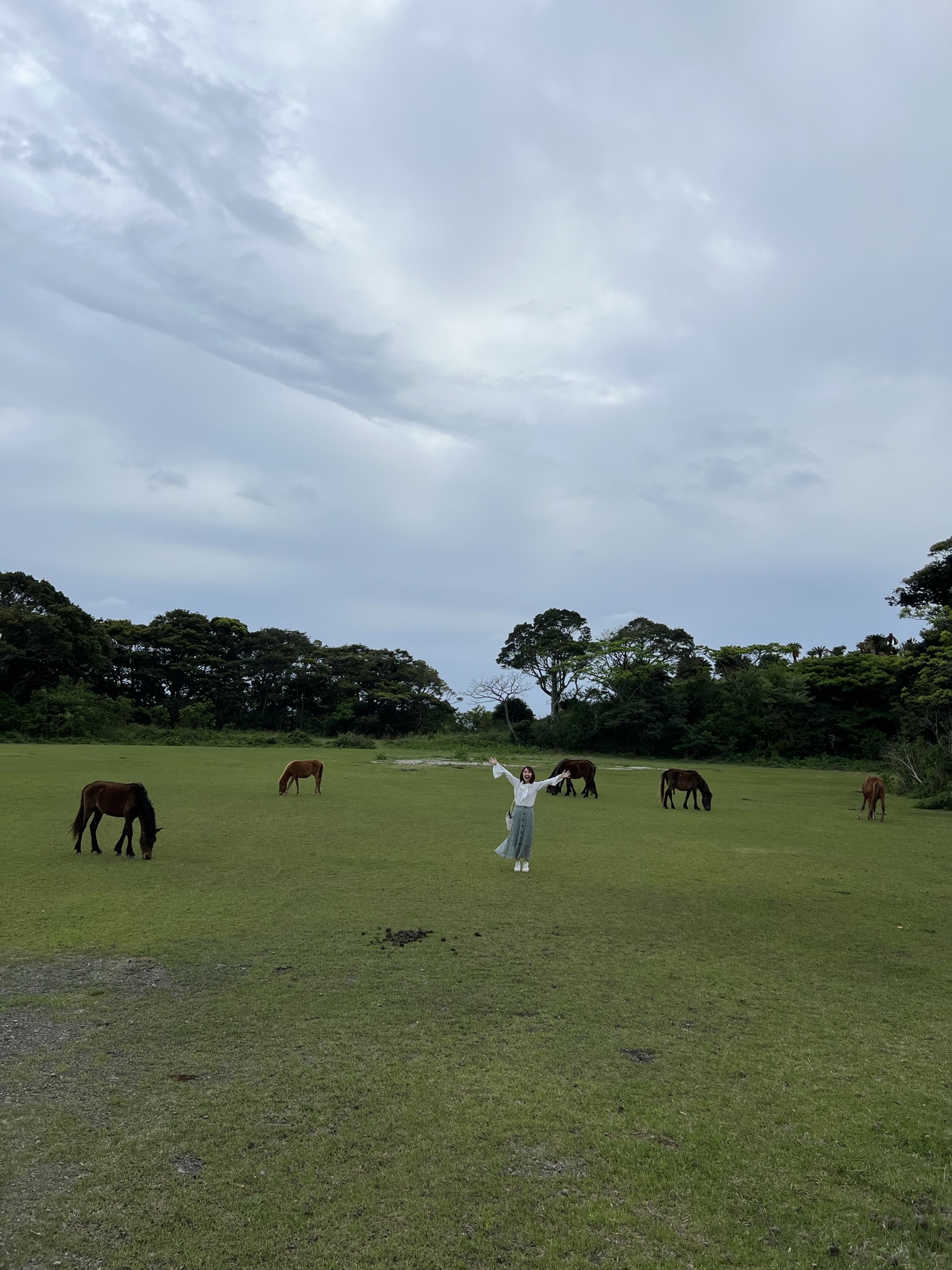 日本で唯一、野生の馬に会いに行ける場所 | 泉ノ波あみです、どうも！ | UMATO
