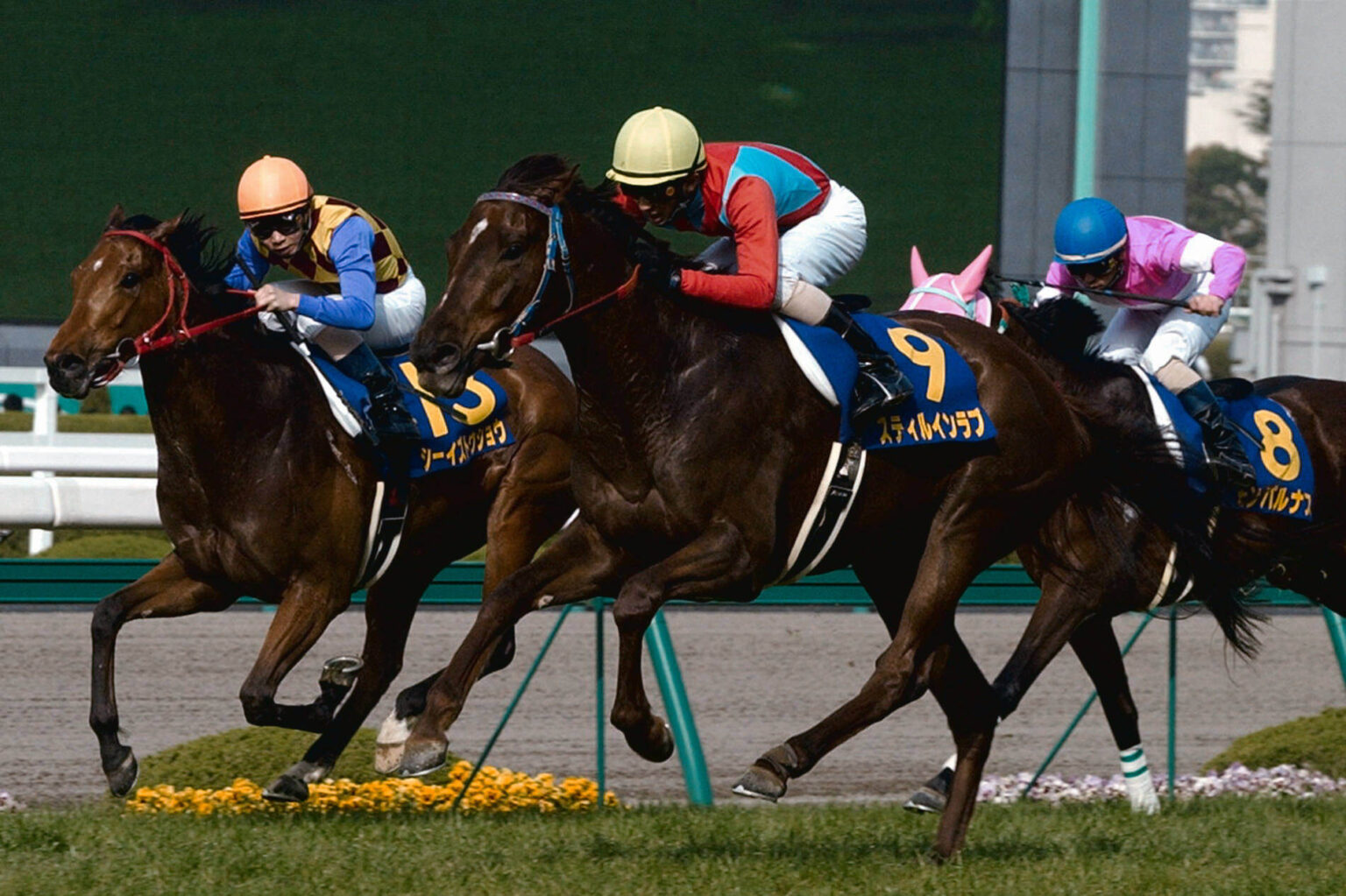 スティルインラブ～幸英明騎手に攻めの騎乗を教えた名牝 | 鈴木正のKEIBA愛 | UMATO