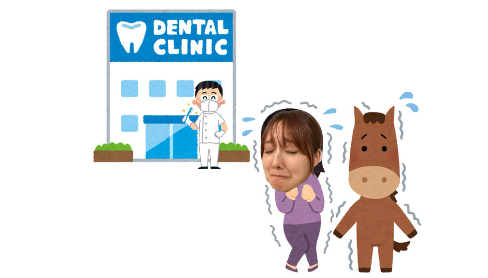 馬の歯について考えたことある | 泉ノ波あみです、どうも！ | UMATO