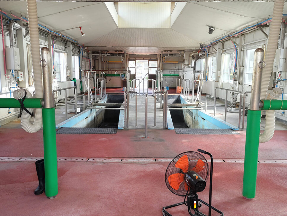 全国競馬場探訪～函館競馬場～＜3回シリーズ 第2回＞ | 田中一征の馬噺 | UMATO