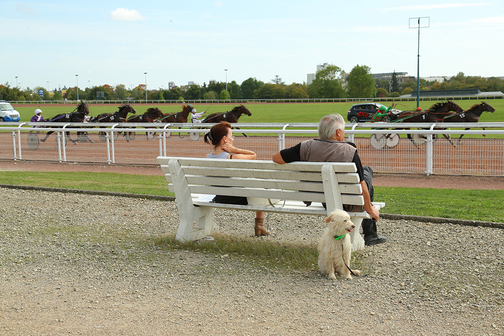 競馬場の小さな風景 | 岡田修平のアノ瞬間 | UMATO