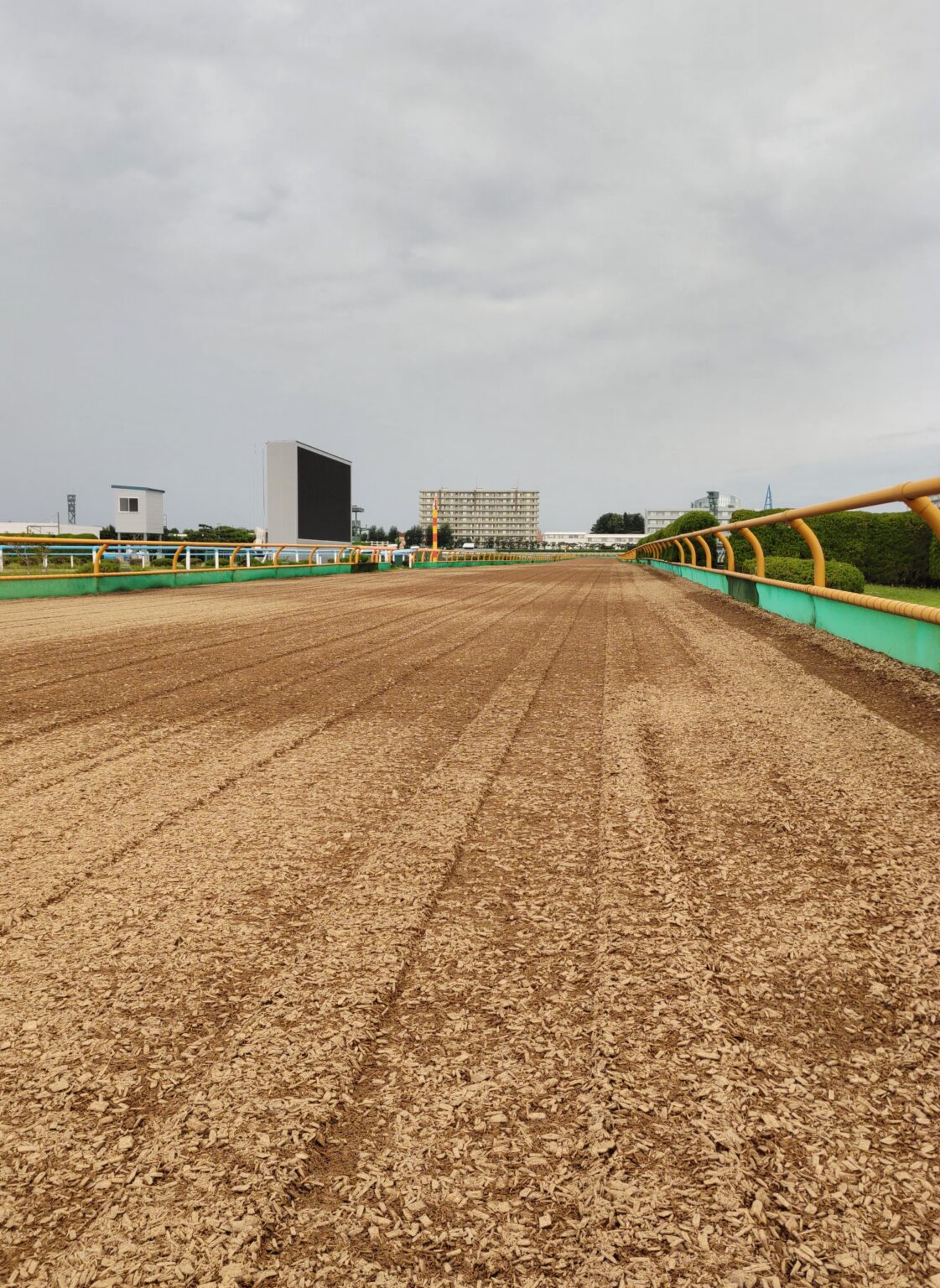 全国競馬場探訪～函館競馬場～＜3回シリーズ 第1回＞ | 田中一征の馬噺 | UMATO