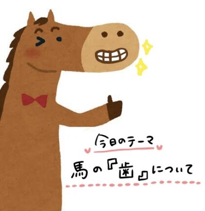 馬の歯について考えたことある | 泉ノ波あみです、どうも！ | UMATO