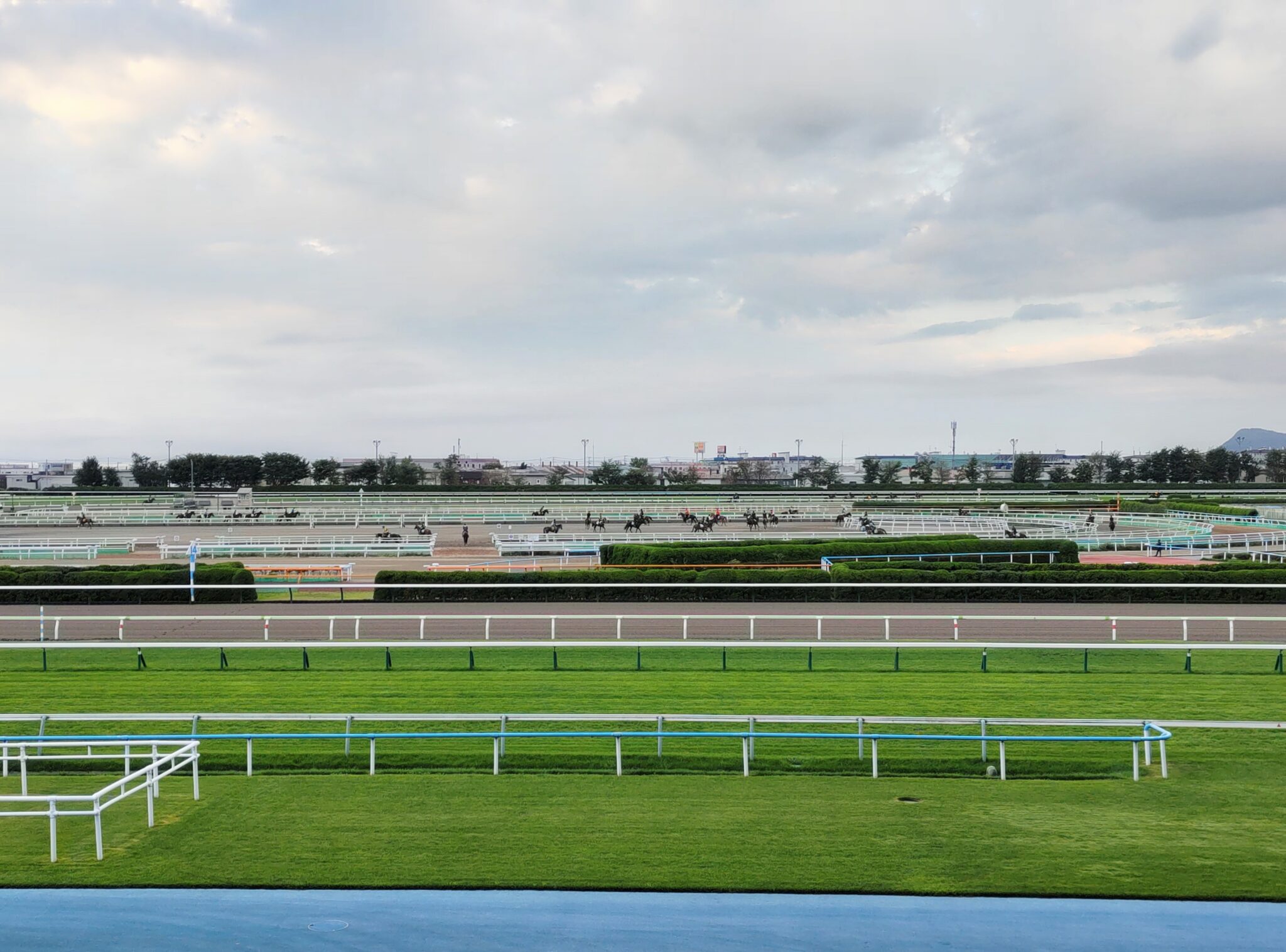 全国競馬場探訪～函館競馬場～＜3回シリーズ 第1回＞ | 田中一征の馬噺 | UMATO