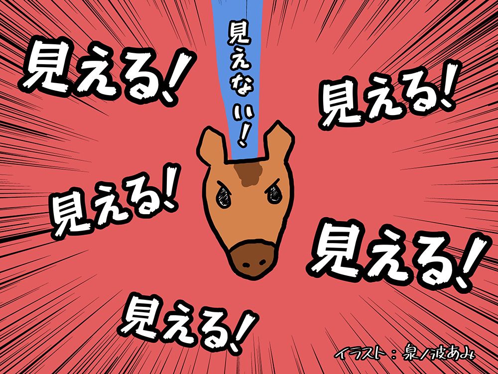 馬の目について一緒に学びましょ🐴👀 | 泉ノ波あみです、どうも！ | UMATO