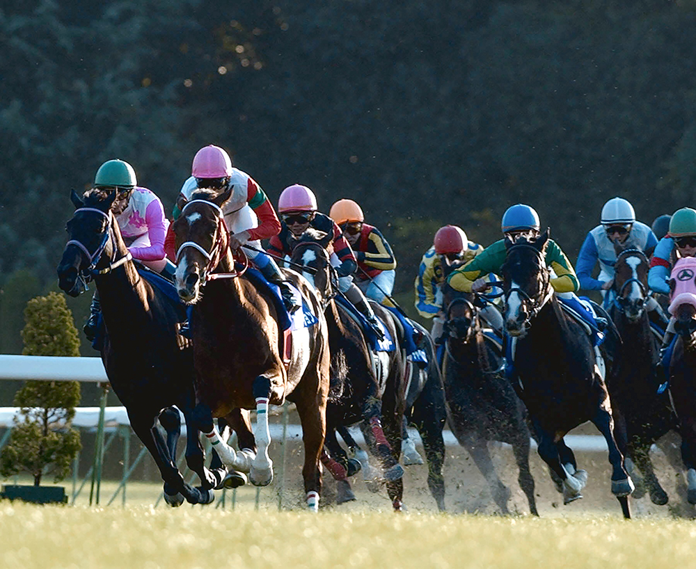ファインモーションの活躍に貢献した、ある騎手の話 | 鈴木正のKEIBA愛 | UMATO