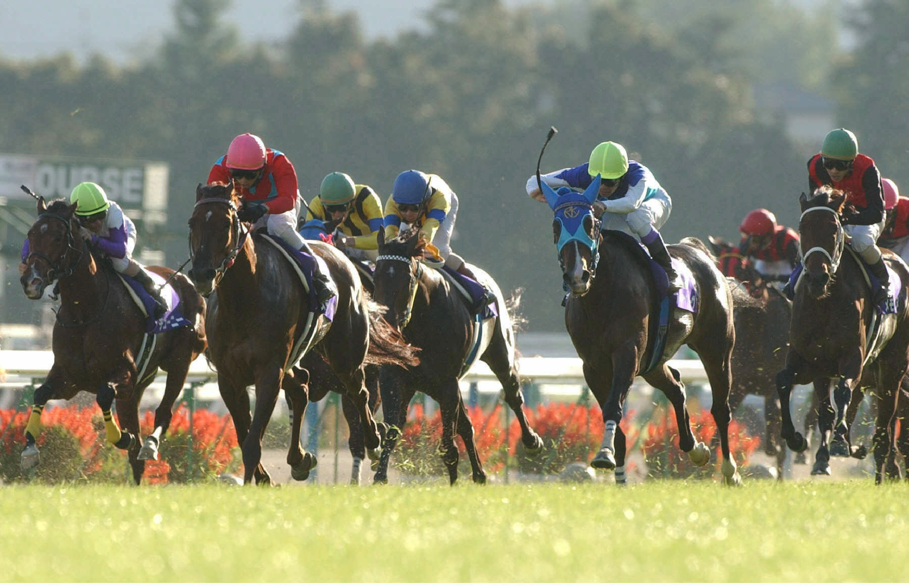 スティルインラブ～幸英明騎手に攻めの騎乗を教えた名牝 | 鈴木正のKEIBA愛 | UMATO