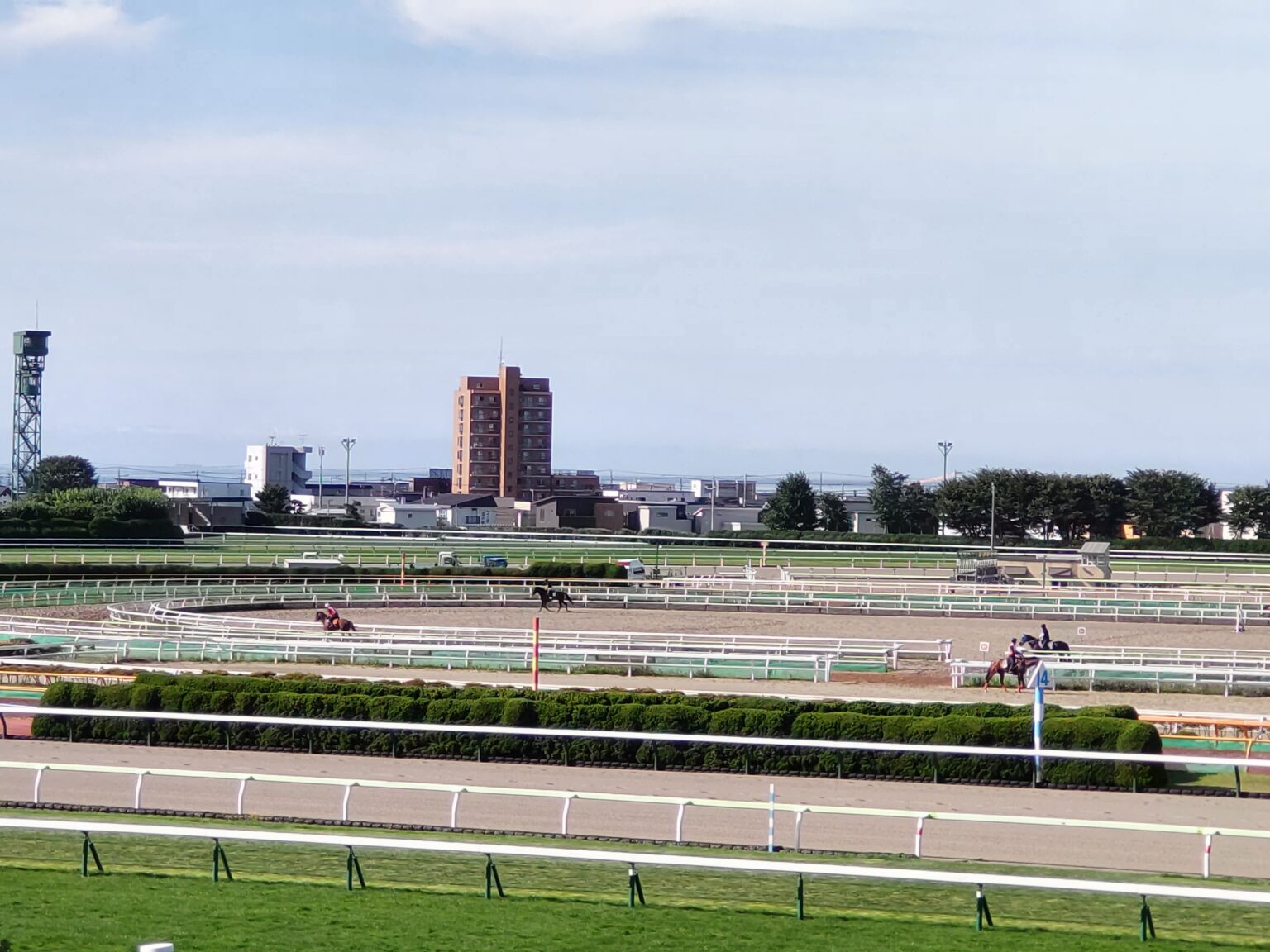 全国競馬場探訪～函館競馬場～＜3回シリーズ 第1回＞ | 田中一征の馬噺 | UMATO