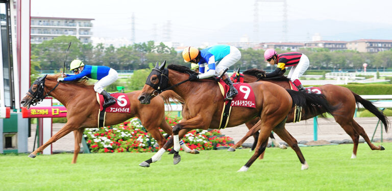 ローズSで思い出す、後藤浩輝騎手のこと | 鈴木正のKEIBA愛 | UMATO