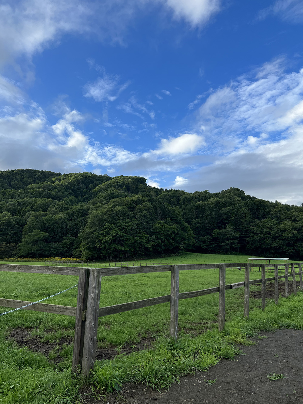養老牧場にいざ！！北海道へGO！！！ | 泉ノ波あみです、どうも！ | UMATO