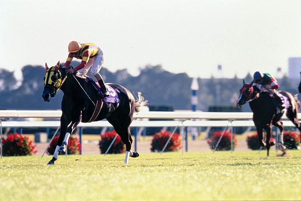 第1回(1996年) 秋華賞 | 岡田修平のアノ瞬間 | UMATO