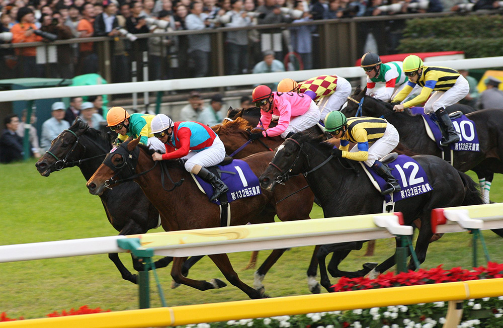 ヘヴンリーロマンス戴冠！そして勝負勘のなさを知る | 鈴木正のKEIBA愛 | UMATO