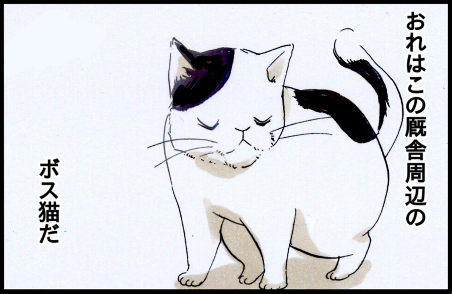 244話 馬と猫 | 今日も本迷(復刻版) | UMATO