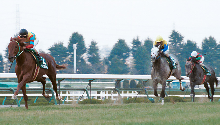 アグネスタキオン、ジャングルポケット、クロフネ～GⅢで夢のカードが実現 | 鈴木正のKEIBA愛 | UMATO