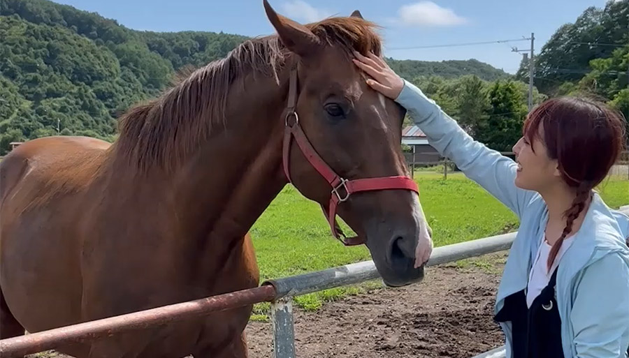 🔥馬VSアブ🔥 | 泉ノ波あみです、どうも！ | UMATO