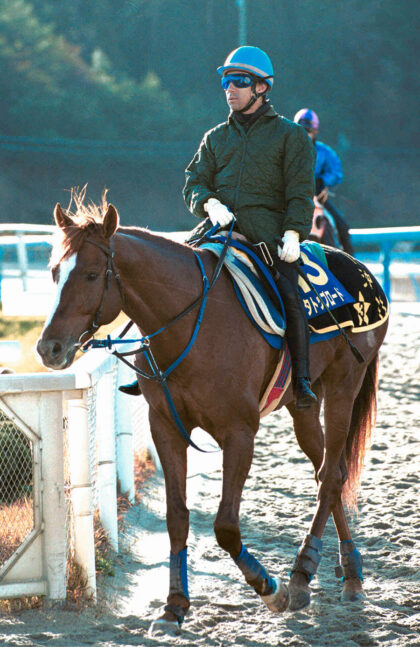 野球選手顔負け！？騎手もライバルの“クセ”をつかむことが重要 | 鈴木正のKEIBA愛 | UMATO
